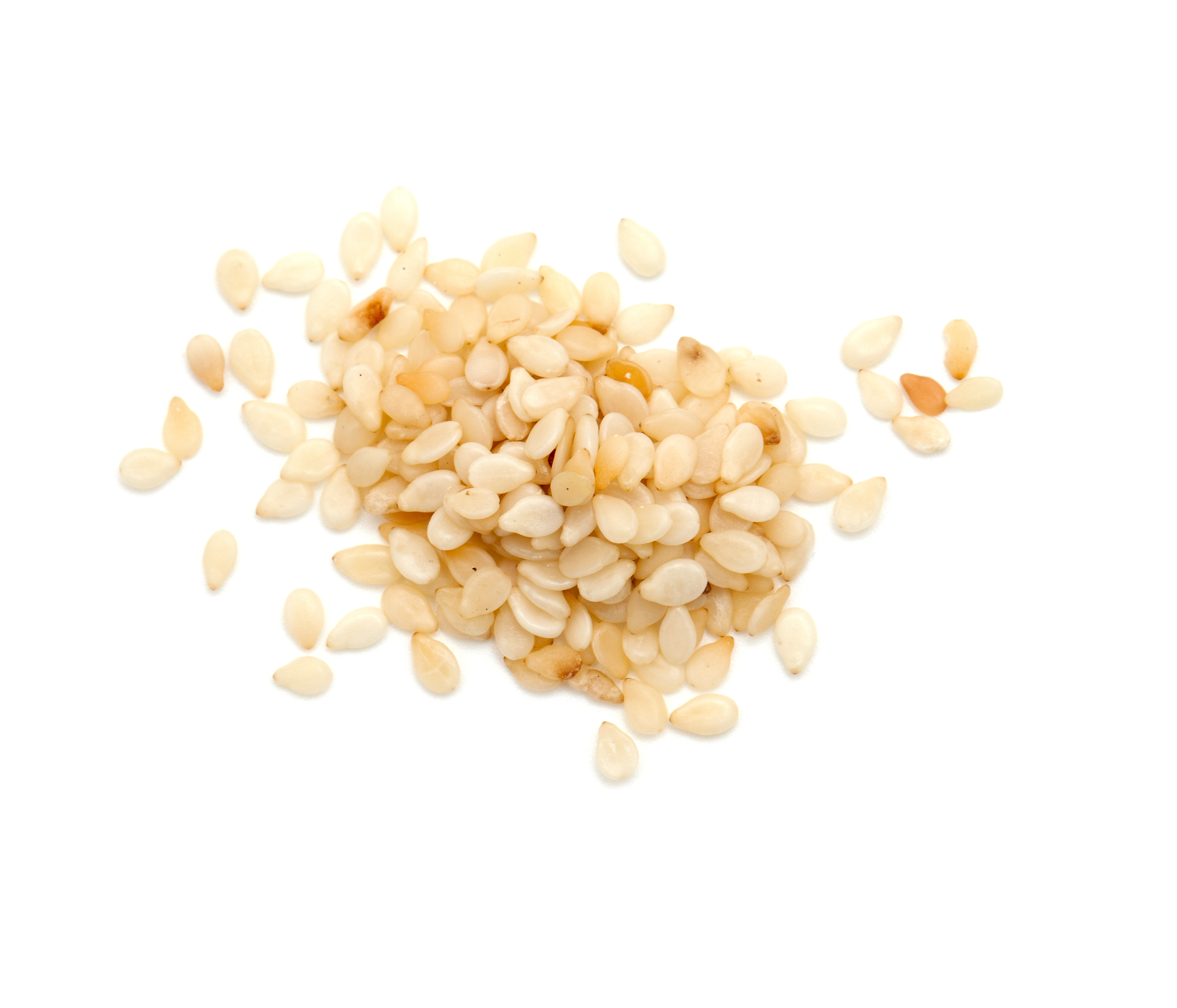 One Sesame Seed Sesame Seeds, Sesamum Indicum