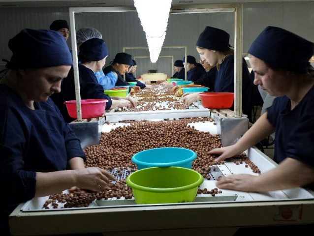 Our Factories - Voicevale Ltd