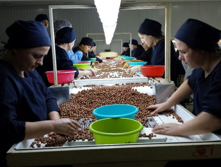 Our Factories - Voicevale Ltd